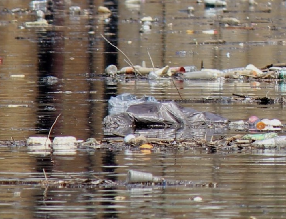 Environmental Justice Leaders Convene to Demand EPA Take Action to ...