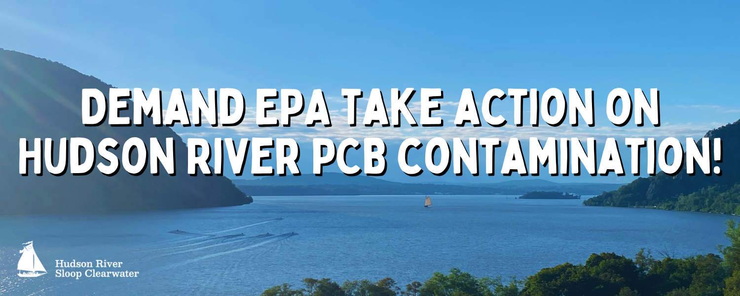 ACTION ALERT: Hudson River PCB Contamination - Hudson River Sloop ...
